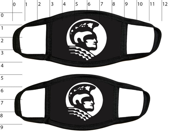 Hi Chief Protective dust masks – PSTGEARCLOTHING